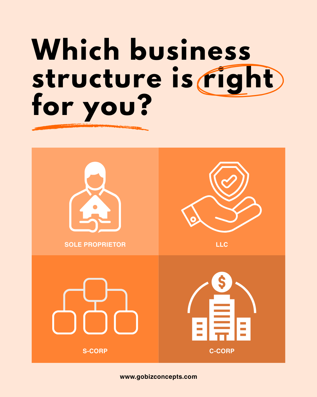 Compact And Basic Comparison Of Core Business Structures - National ...